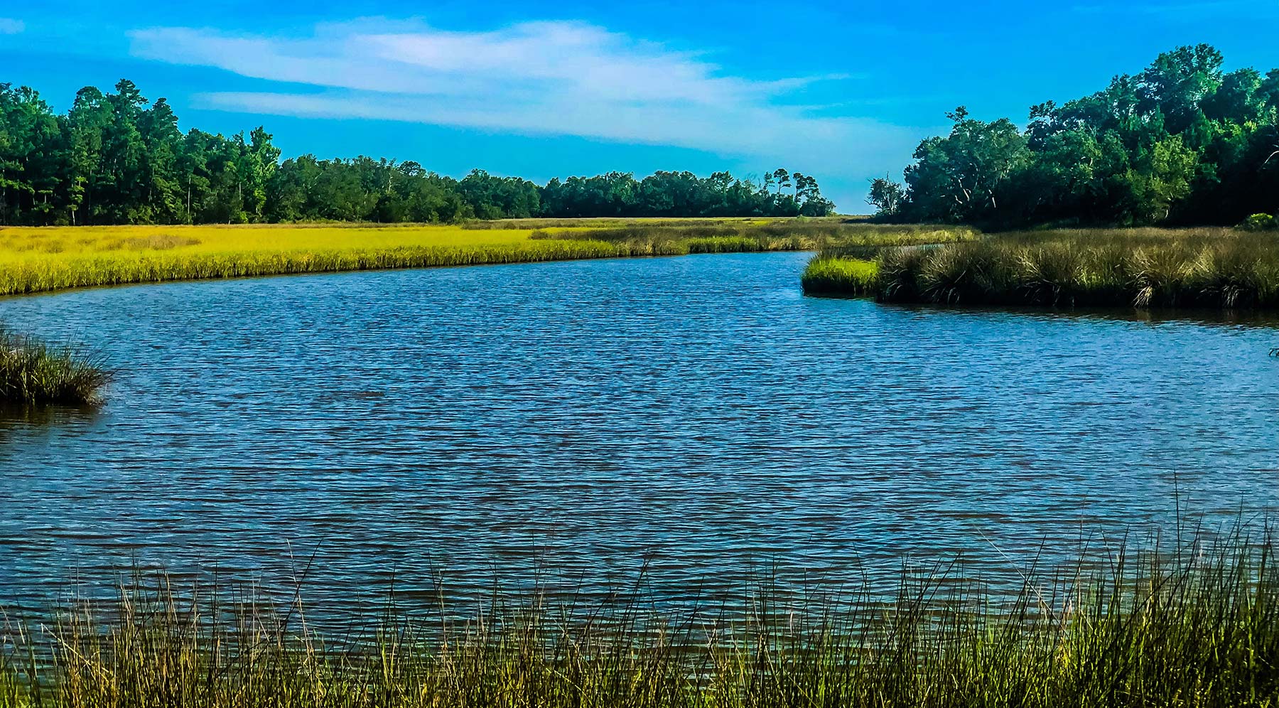 Mission - Mississippi Sound Coalition